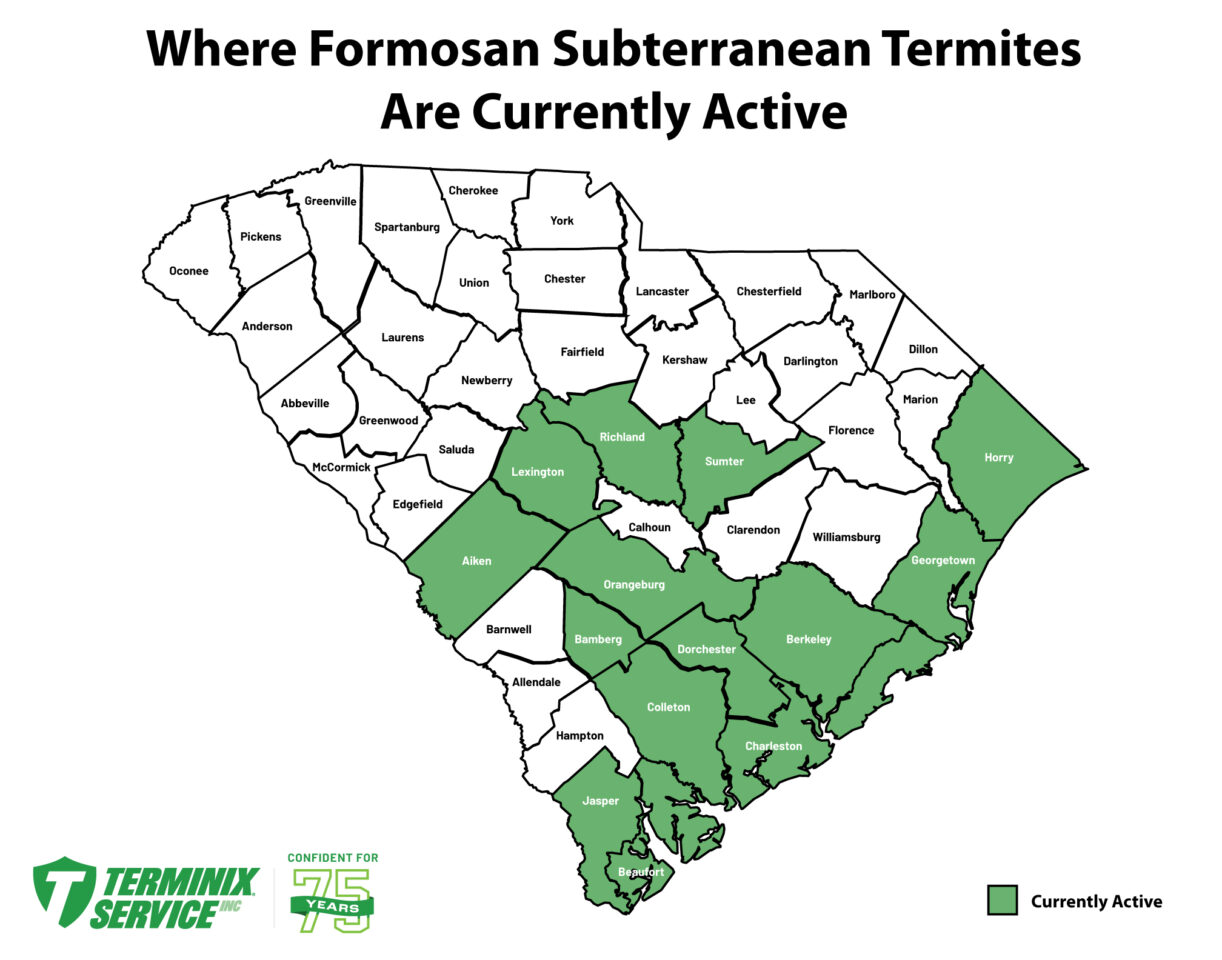 Blog | Terminix® Service, Inc. | #1 in Pest Control & Termite Treatment ...