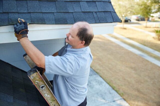 Blog | Terminix® Service, Inc. – Pest & Termite Control | Terminix